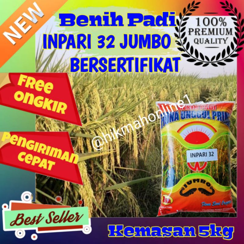Jual Benih padi Inpari 32 Jumbo Bersertifikat Label ungu kemasan 5kg | Shopee Indonesia