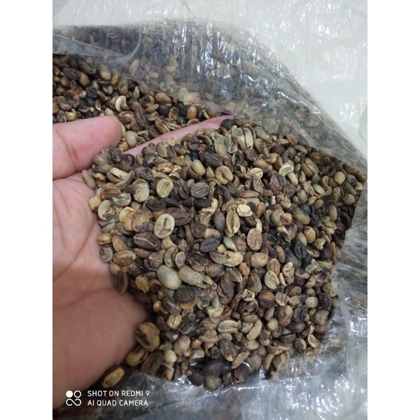 Jual Green Bean Arabica Ijen Full Washed / Biji Kopi Arabica / Coffee ...