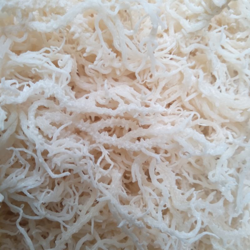 Jual Rumput laut kering 1kg rumput laut untuk sup | Shopee Indonesia