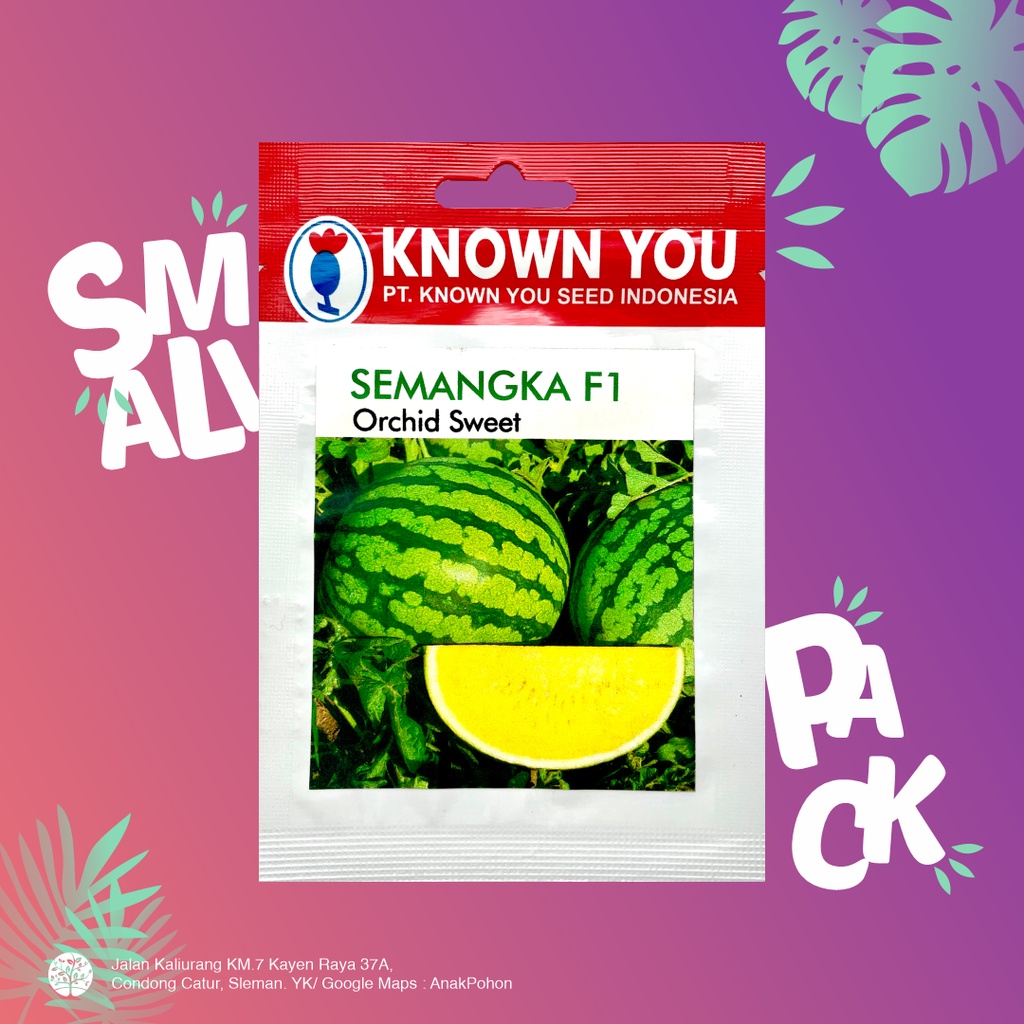 Jual (1 PACK) Benih Semangka Kuning Orchid Sweet Seeds - Known You Seed ...