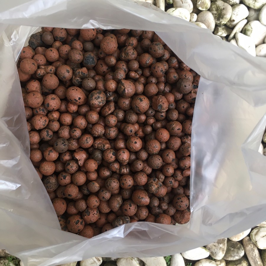 Jual Hydroton Leca Media Tanam Hydroponic Anggrek | Shopee Indonesia