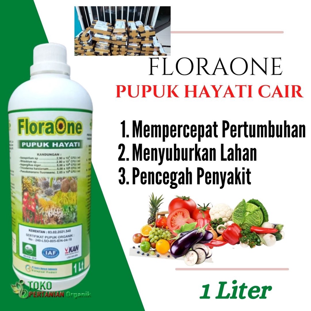Jual Pupuk PGPR, Pupuk organik Hayati Trichoderma Harzianum Rhizobium ...