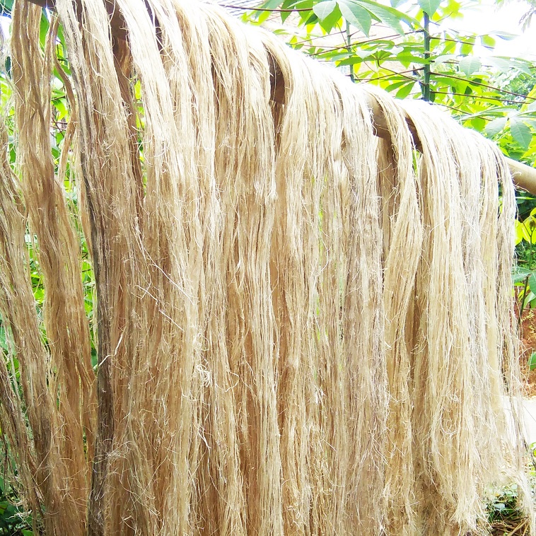 Jual Serat Pelepah atau pohon Pisang Serat Alami (250 gr) | Shopee ...