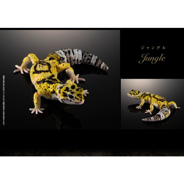 Jual Bandai dango mushi ikimono Gashapon Gacha Leopard Gecko - Jungle ...