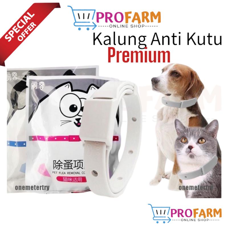 Jual Kalung Anti Kutu Kucing Anjing Anti Serangga Pinjal Dapat ...