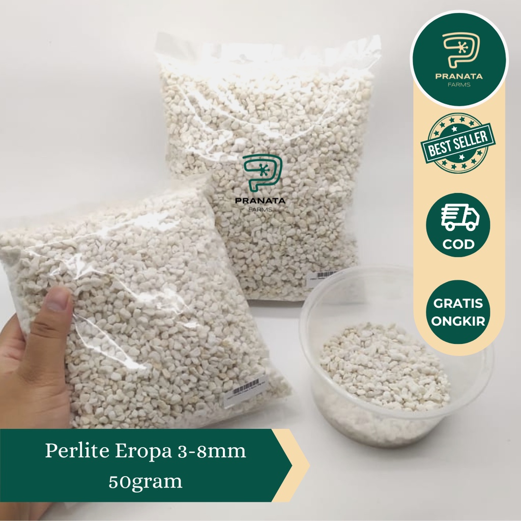 Jual Perlite Eropa Media Penetasan Telur atau Tanaman 3 - 8 mm | Shopee ...