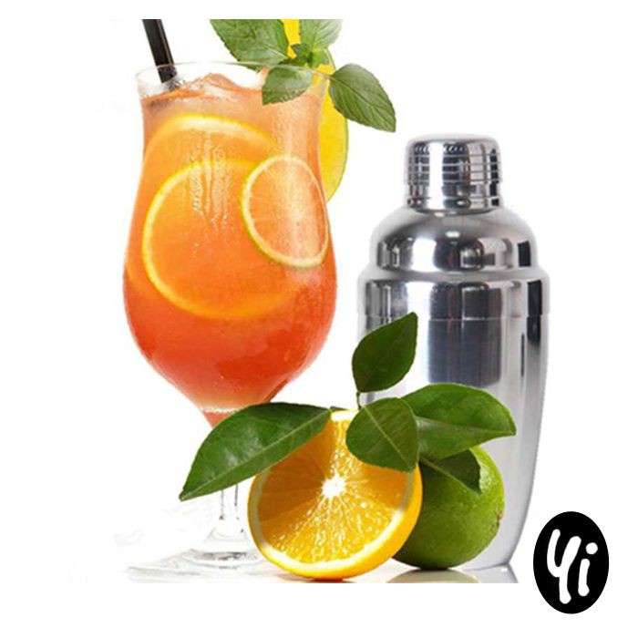 Jual Botol Cocktail Shaker Japanese Stainless Steel Pengocok Minuman ...
