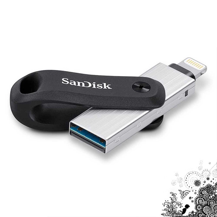 Jual Flash Drive Data Penyimpanan Sandisk iXpand Mini Flashdisk ...