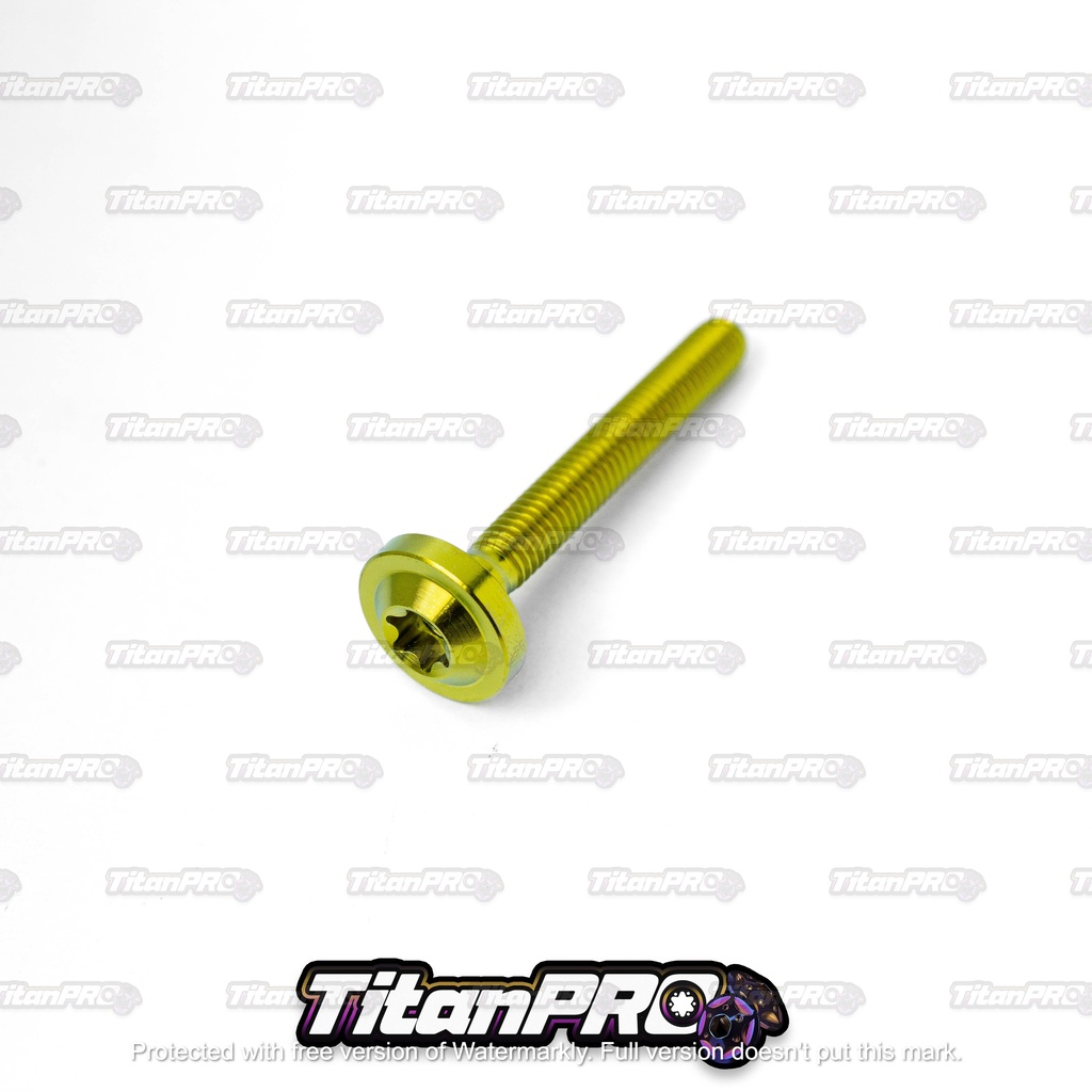 Jual BAUT TITANIUM M6 BIGHEAD GR5 KEPALA 16MM - M6X10MM-50MM | Shopee ...
