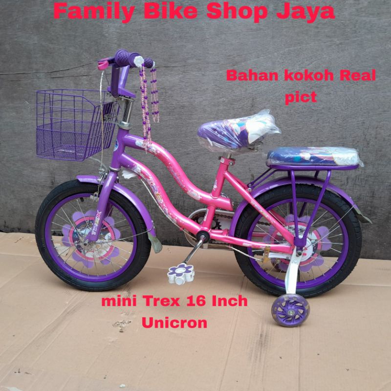 Jual Sepeda Anak mini T-rex 16 Inch Unicorn/Kuda pony | Shopee Indonesia