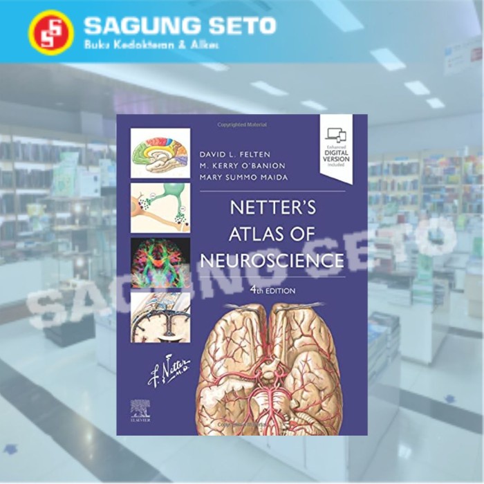 Jual Must Have!! Netters Atlas Of Neuroscience 4Ed - Felten / Saraf ...