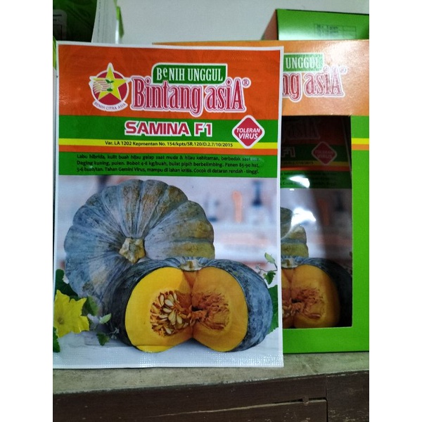 Jual Benih bibit labu kuning Samina F1 10 gram Bintang Asia | Shopee ...
