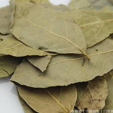 Jual Xiang Ye Xiangye Daun Salam Kering Bay Leaf Leaves 500 g | Shopee Indonesia