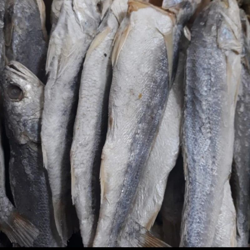 Jual Ikan Asin Samge Panjang Medan 500 gr | Shopee Indonesia