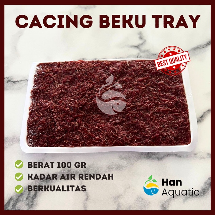 Jual Cacing Beku Tray Berat 100 gram Pakan Ikan Berkualitas | Shopee ...