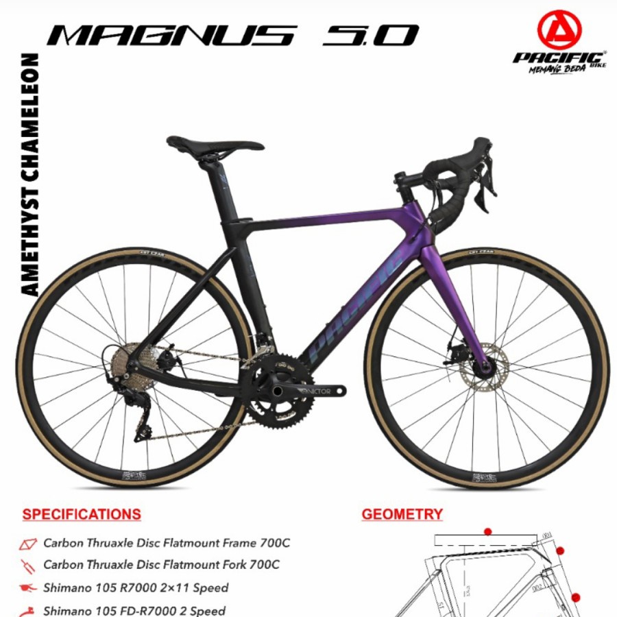 Jual roadbike 700C PACIFIC MAGNUS 5.0 FRAME CARBON FULL SHIMANO ...