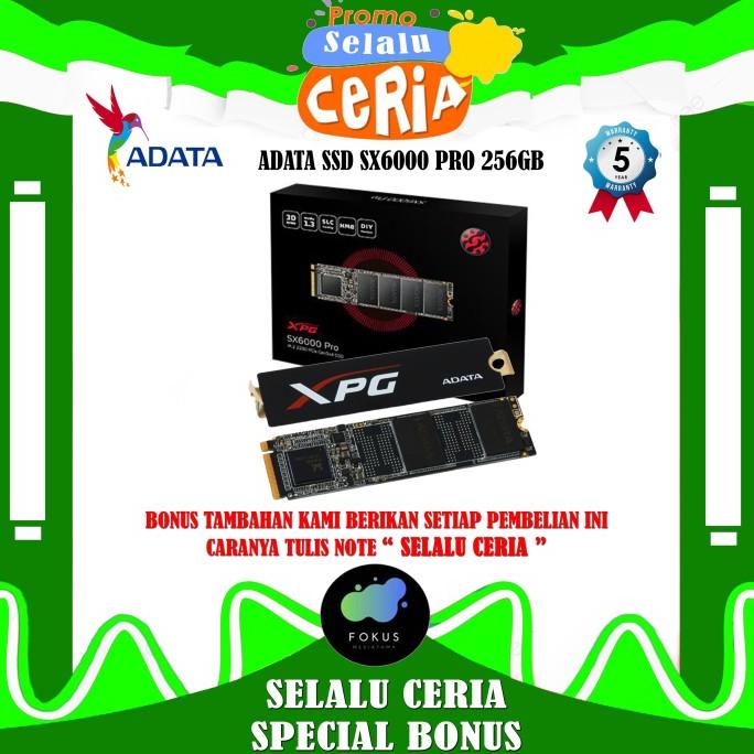 Jual SSD ADATA XPG SX6000 Pro 256GB PCIe Gen3x4 M.2 2280 NVMe 3D NAND ...