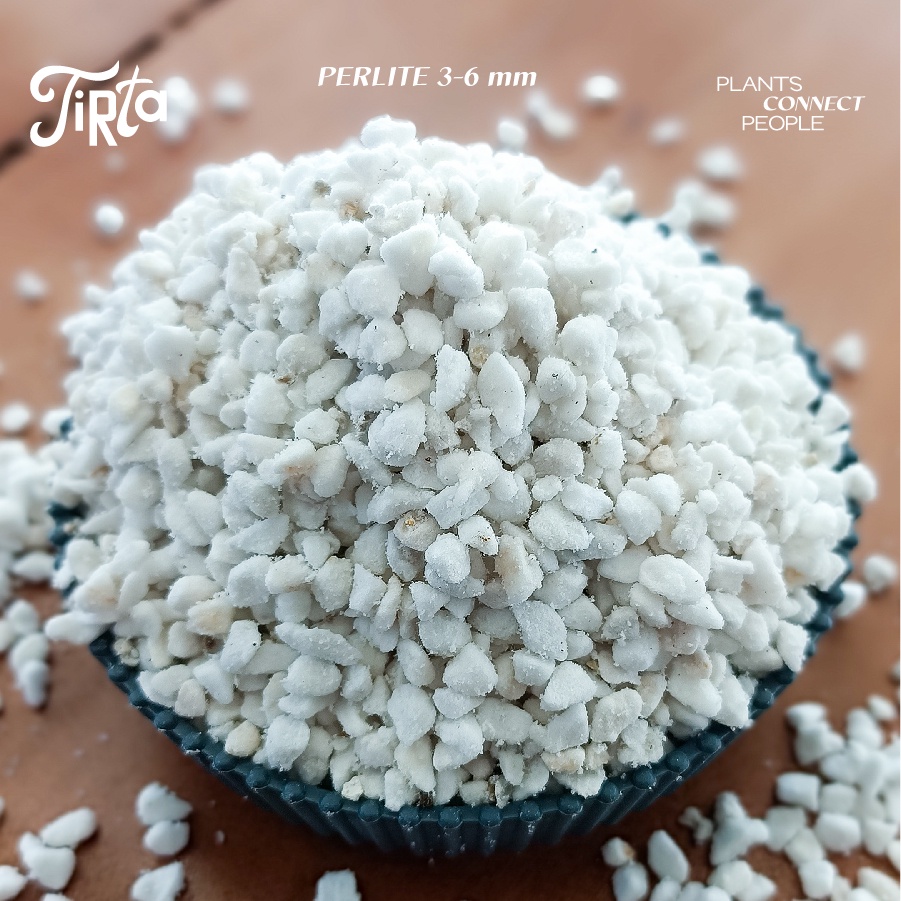 Jual Perlite Original 3-6 mm - Media Tanam - 4,5L atau 1,5L | Shopee ...