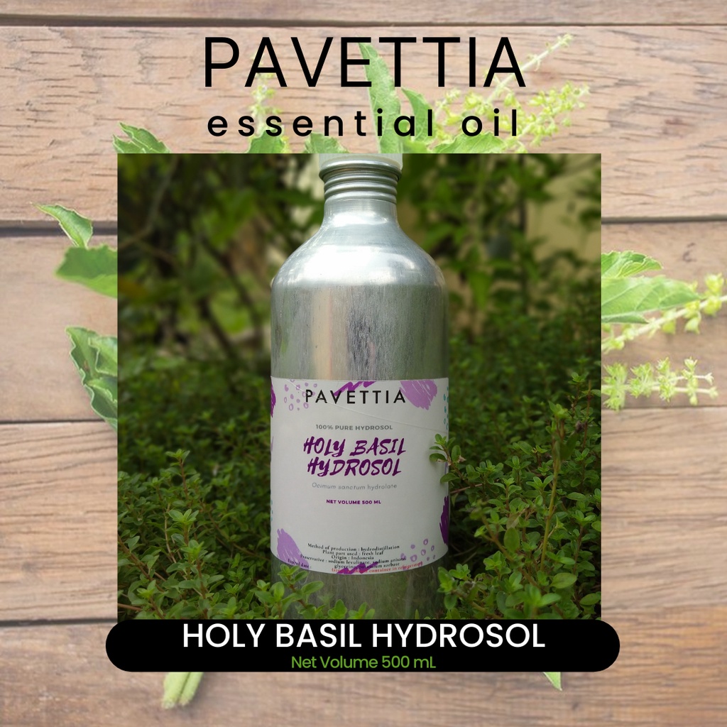Jual 500 ml - Holy basil hydrosol - aromatic water (Ocimum sanctum ...