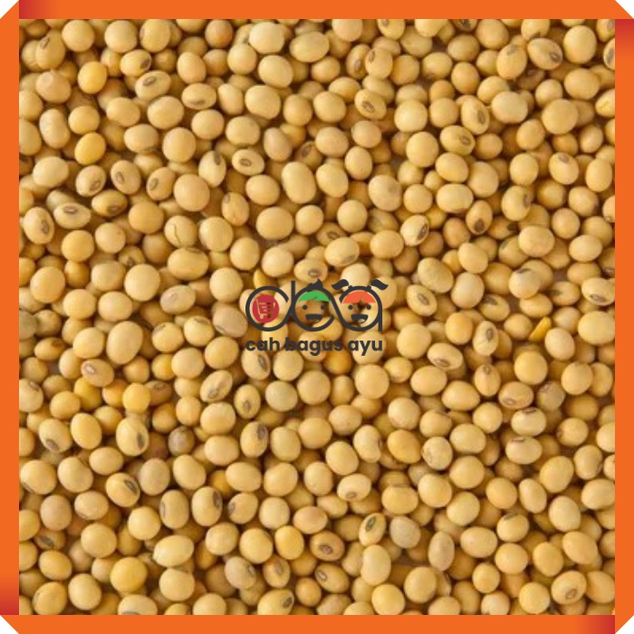 Jual Kedelai Putih Kuning Lokal 500gr Mpasi Susu Dele | Shopee Indonesia