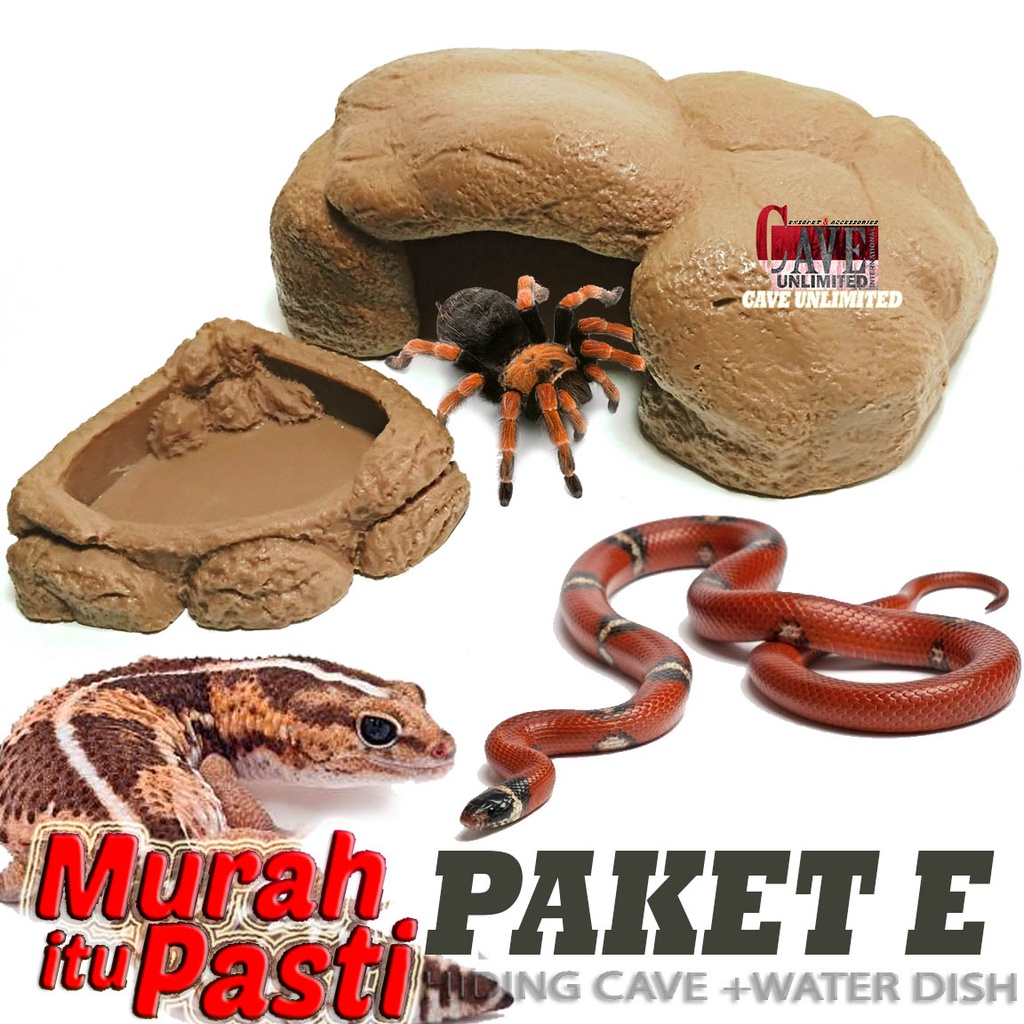 Jual PAKET F GUA GECKO HIDING CAVE + WATER DISH TEMPAT BERSEMBUNYI ...