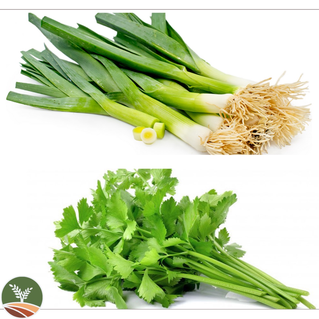 Jual Daun Seledri / Daun Bawang / Selada Bokor / Daun Kemangi Sayuran ...