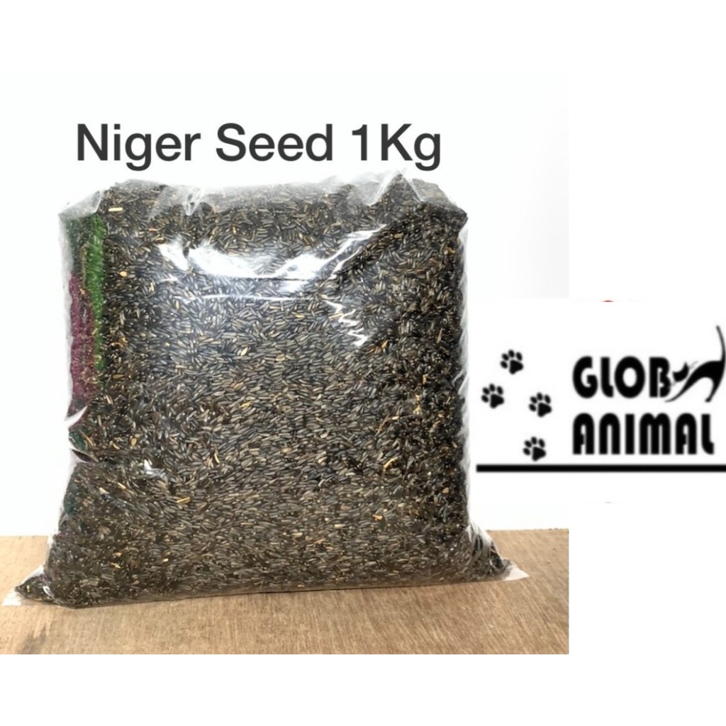 Jual NIGER SEED 1KG pakan makanan burung biji nigger seed lovebird finc ...