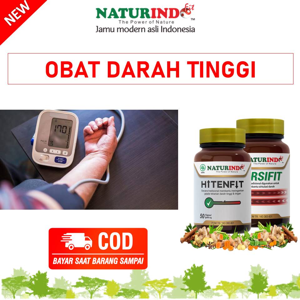 Jual HITENFIT CARCIFIR OBAT DARAH TINGGI HIPERTENSI PENYUMBATAN DARAH ...