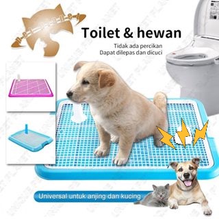 Jual Toilet Anjing Pee Poop Training Pad Tray Pet Toilet Training ...