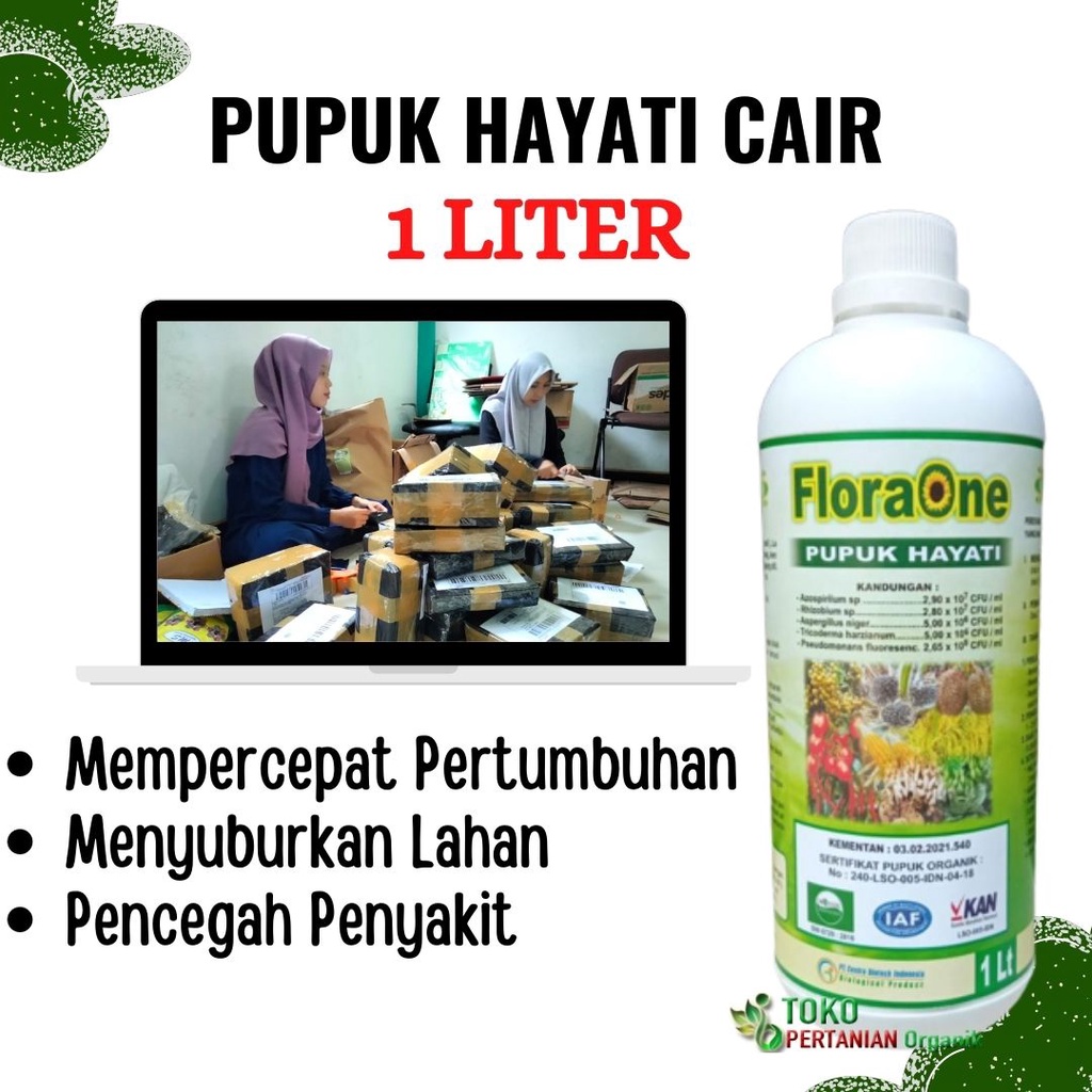 Jual Pupuk PGPR CAIR, Obat organik Hayati Trichoderma Harzianum ...