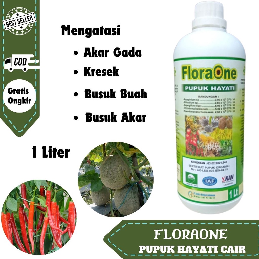 Jual Flora One Pupuk Hayati Cair PGPR - Pupuk Busuk Buah Cabe Paling Ampuh, Obat Busuk pada ...