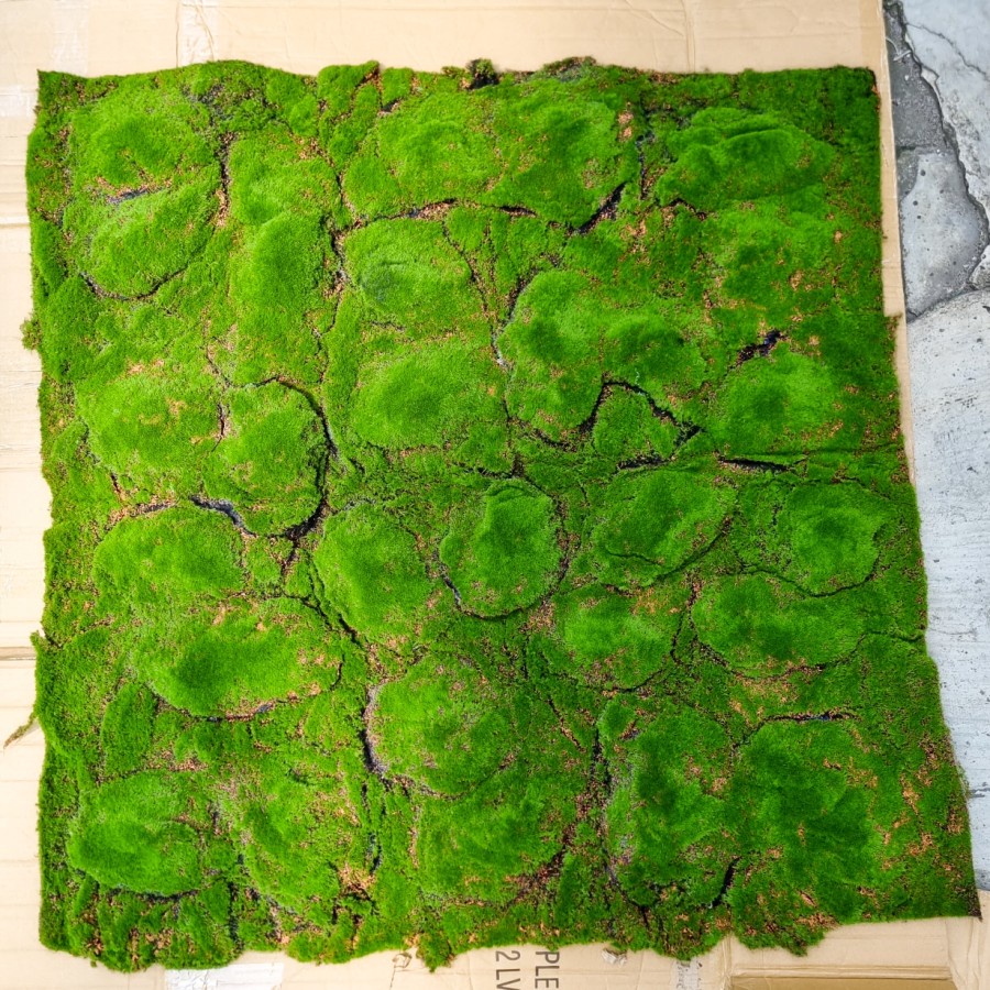 Jual Karpet Lumut Moss Artificial 100 cm x 100 cm | Shopee Indonesia