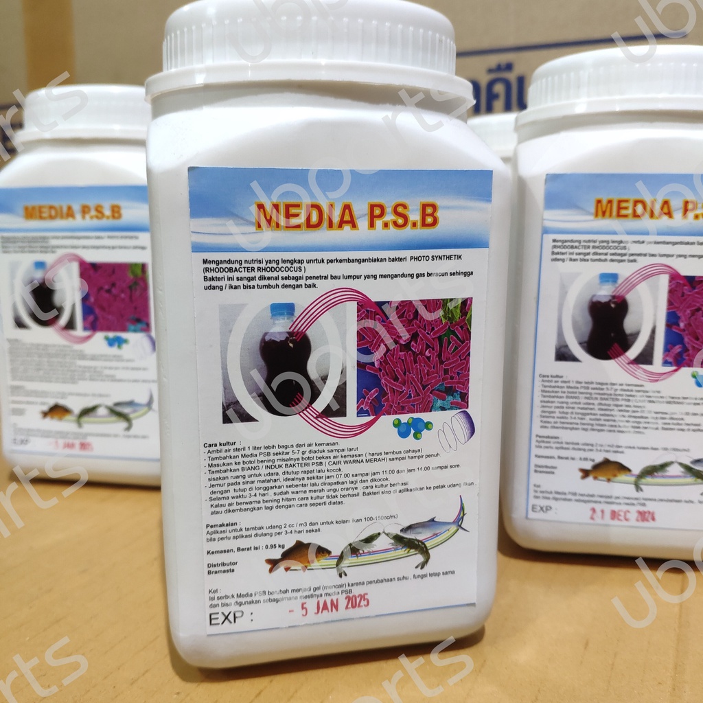 Jual Media PSB - Media Pengganda/Pengembangbiakan Bakteri ...