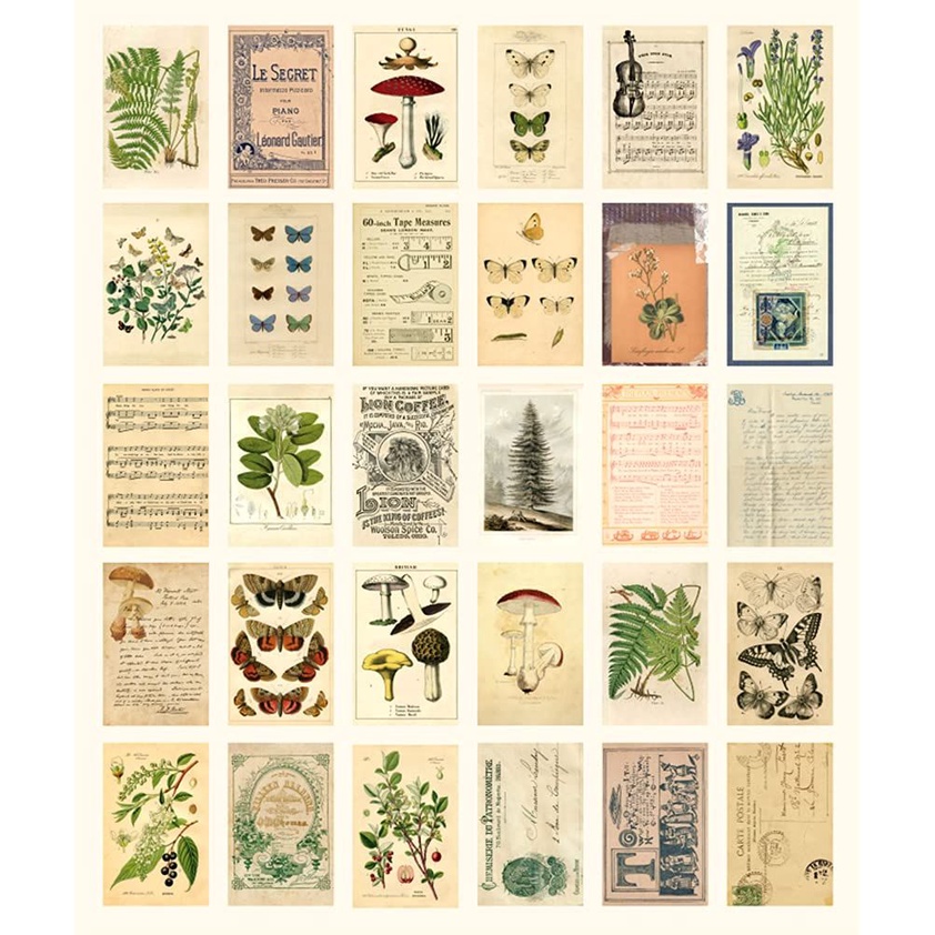 Jual Sticker BOTANICAL tanaman aesthetic journaling | Shopee Indonesia