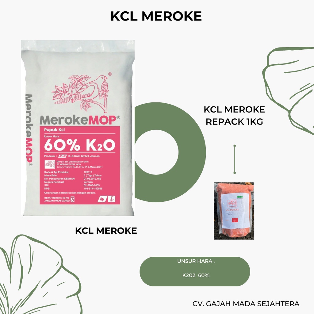 Jual PUPUK MEROKE KCL / MOP 1 KG KEMASAN REPACK KCL MEROKE / MOP ...
