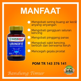 Jual Obat Beser Anyang -Anyangan Infeksi Saluran Kemih ISK Kencing ...
