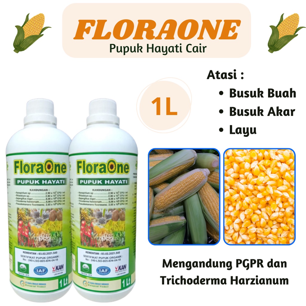 Jual Pupuk FLoraOne, pupuk hayati cair, Pupuk Tricoderma Harzianum ... Jual Pupuk FLoraOne, pupuk hayati cair, Pupuk Tricoderma Harzianum ...