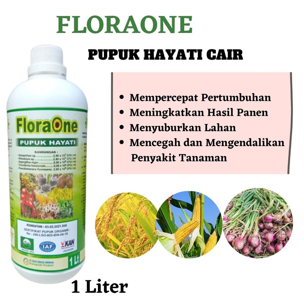 Jual TUMBUH! Fungisida Hayati Cair FLORAONE PGPR pgpr untuk padi | Shopee Indonesia