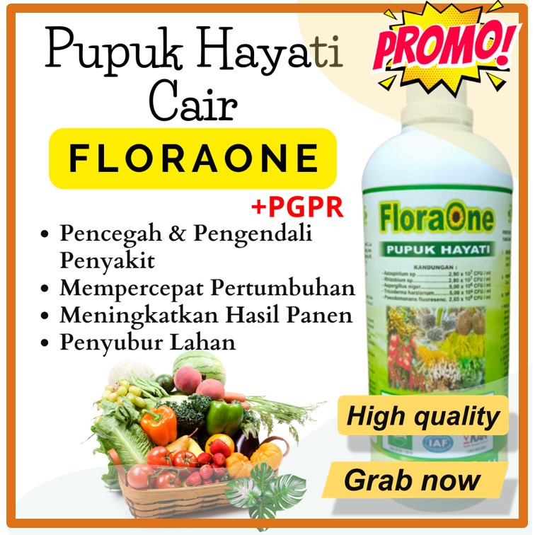 Jual Pupuk PGPR Bakteri Pemacu Tumbuh, Rhizobium Sp Pupuk Untuk Pala ...