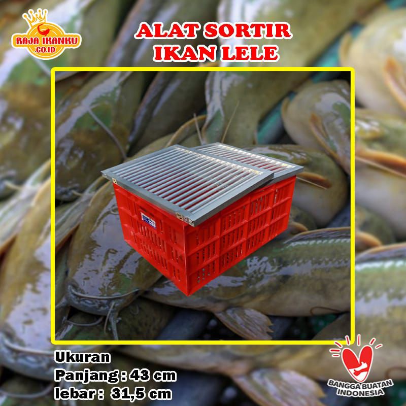 Jual Alat Sortir Lele Saringan Ikan Lele Praktis - Seritan Alat Sortir ...