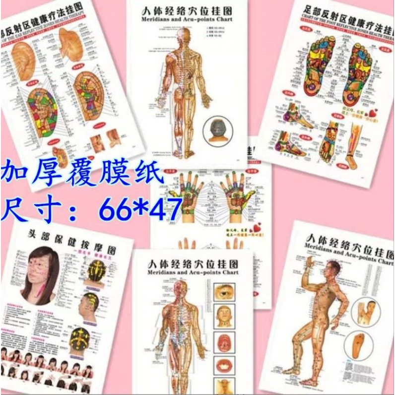 Jual poster akupuntur, Reflexy ukuran 66x47 cm isi 7 ( tanpa frame ...