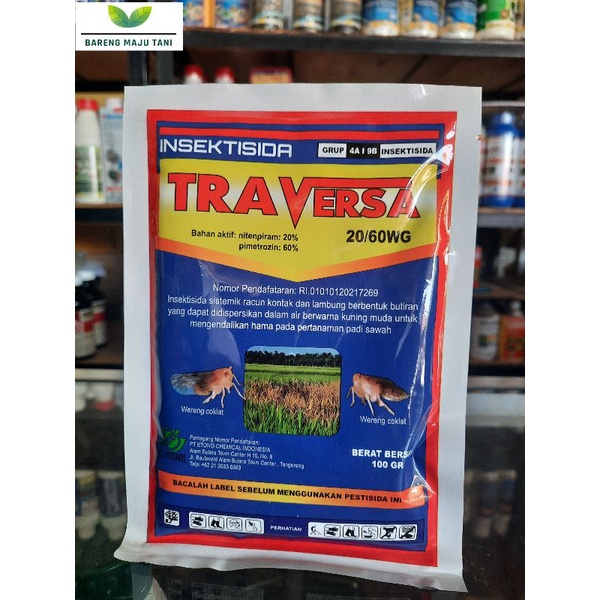 Jual Insektisida TRAVERSA 20/60 WG Pembasmi Wereng, Kutu Kebul, Hama ...