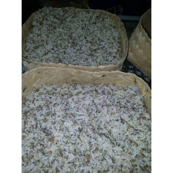 Jual Telur semut rangrang/kroto 1kg | Shopee Indonesia