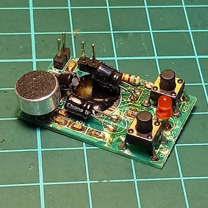 Jual Modul Rekam Suara Dan Putar 6 Volt Dc | Shopee Indonesia