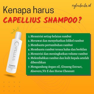 Jual Capellius shampoo tiens shampoo herbal mengatasi rambut rontok ...