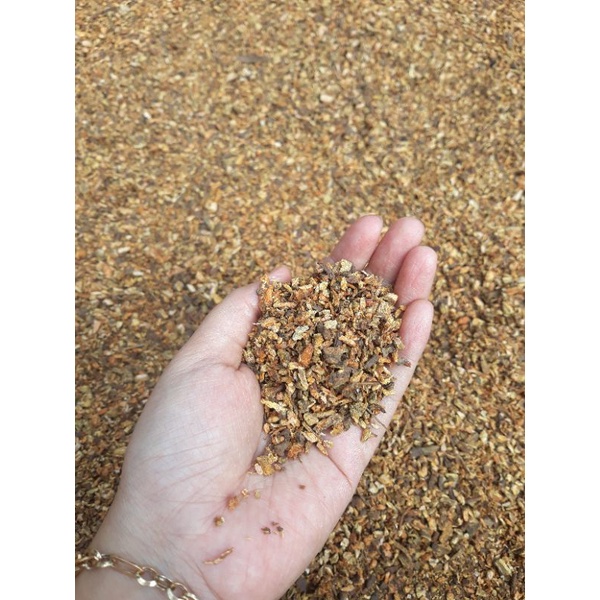 Jual KLEMBAK/KELEMBAK KERING SUPER 100 GRAM | Shopee Indonesia