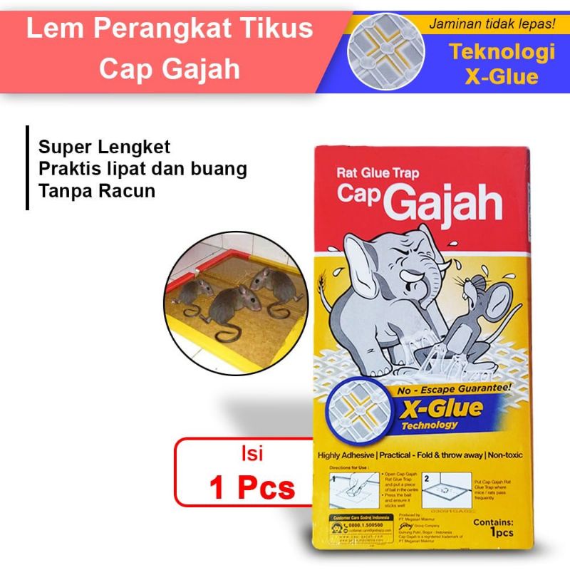 Jual LEM TIKUS papan /TRAP CAP GAJAH perangkap tikus(SUPER GLUE ...
