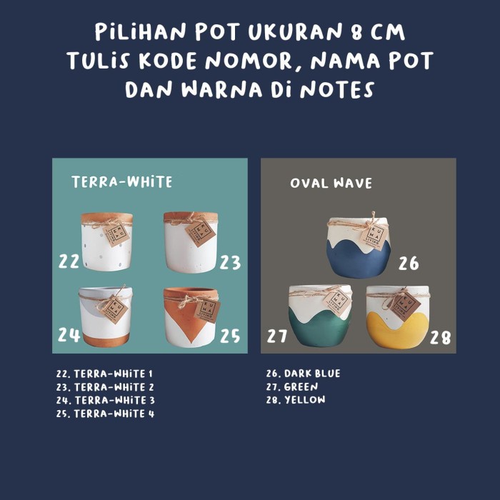 Jual PROMO!!! KUMA LIVING SELF PLANT KIT C TERBARU | Shopee Indonesia