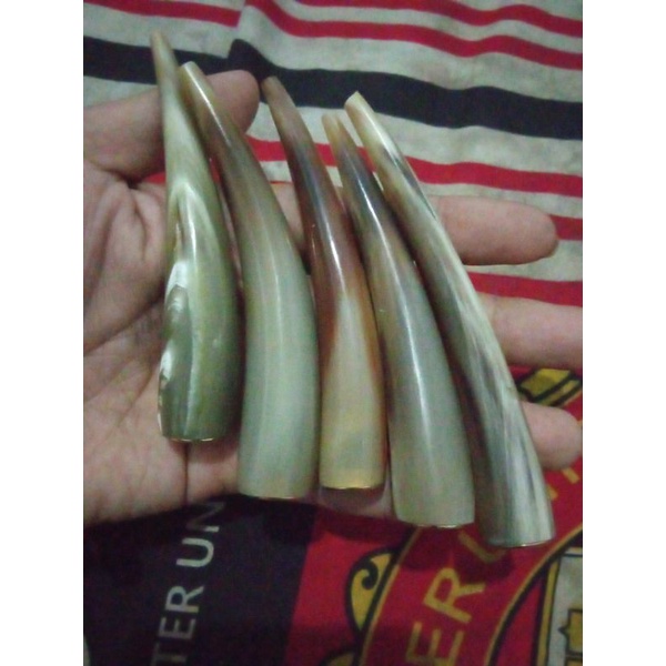 Jual once pipa tanduk kerbau bule motif lengkung | Shopee Indonesia