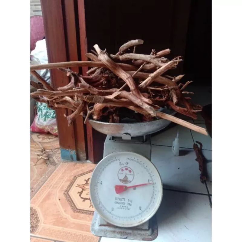 Jual patahan akar rasamala 500 gram 1kg | Shopee Indonesia